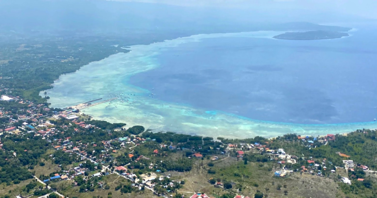 Insider Guide: The 5 Best Things To Do in Moalboal | Kate Hammaren ...