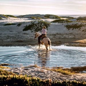 What to Expect on Your First Ranch Vacation Cattle Drive: Adventures in Montana | Kate Hammaren ...