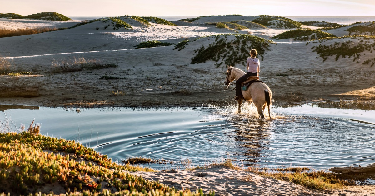 What to Expect on Your First Ranch Vacation Cattle Drive: Adventures in Montana | Kate Hammaren ...
